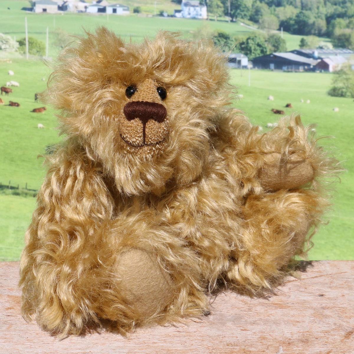 Robbie McFluff a very cute and little mohair atist teddy by Barbara-Ann ...